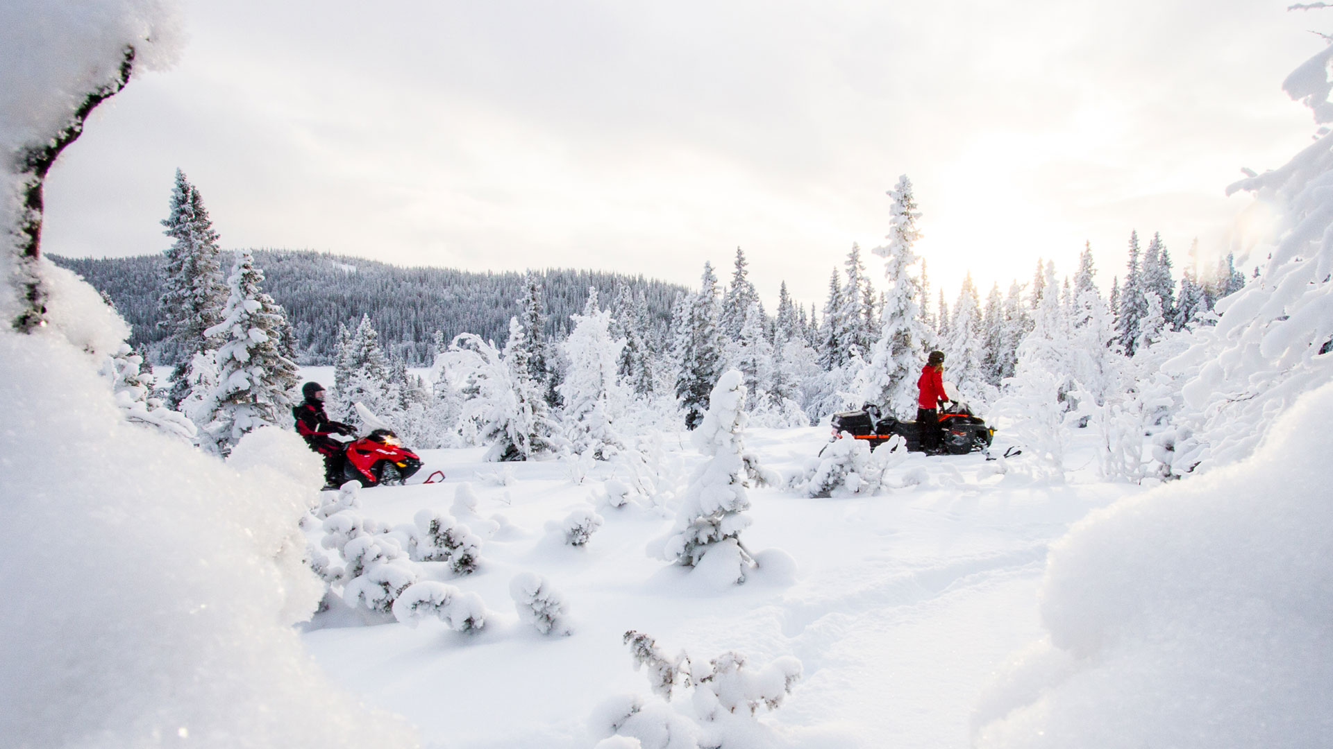 Snowmobile Adventures in Åre – Åre Sweden